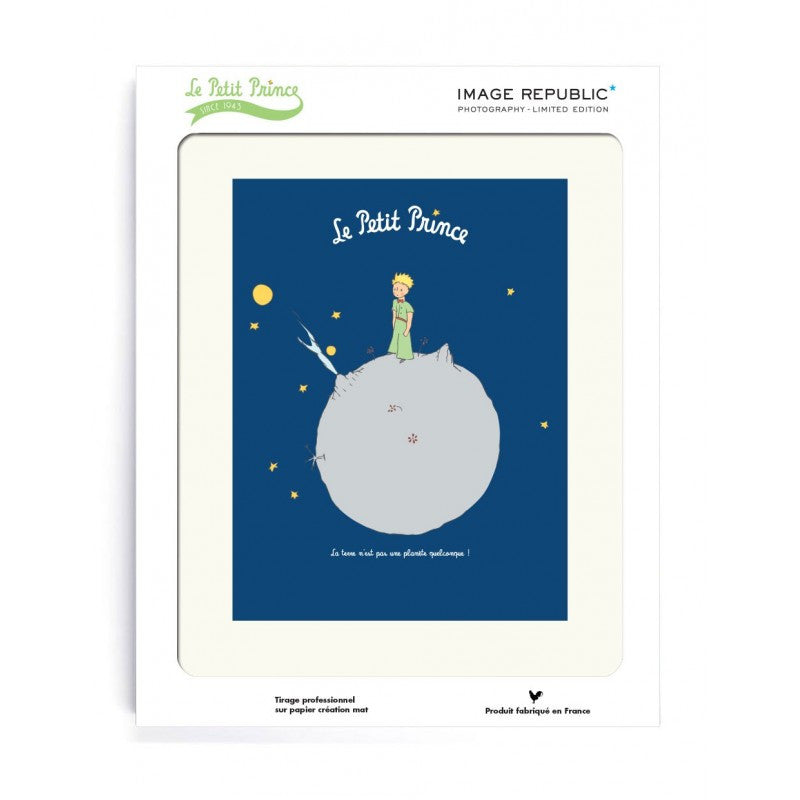 The Little Prince and Earth 30x40cm Art print – Petit Bazaar