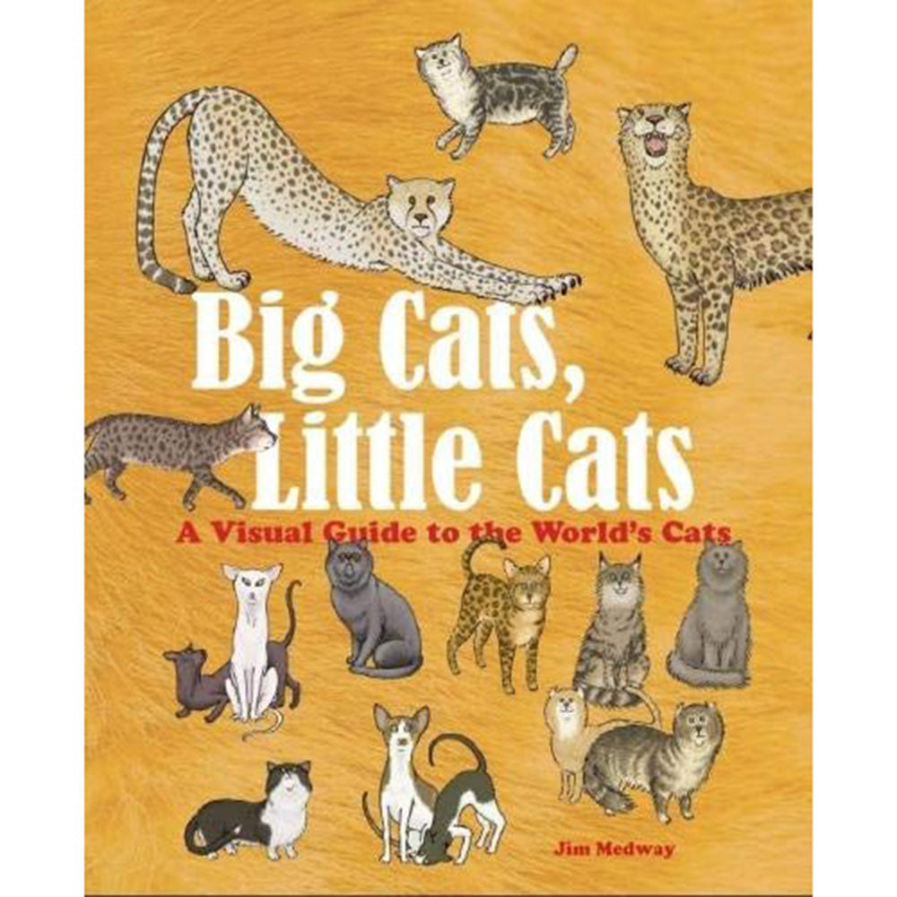 Big Cats, Little Cats: A Visual Guide To The World's Cats – Petit Bazaar