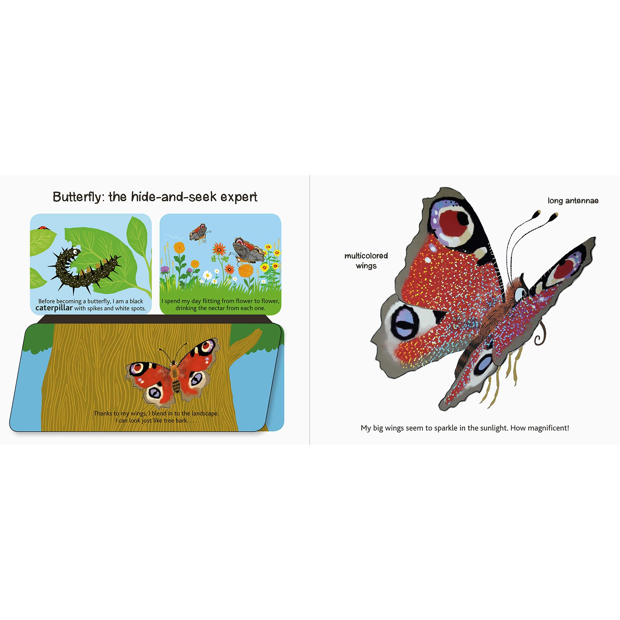 Touch & Explore: Bugs – Petit Bazaar